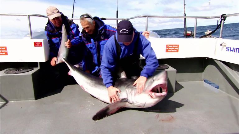 Beagle Battle | Video | Watch TV Show | Sky Sports