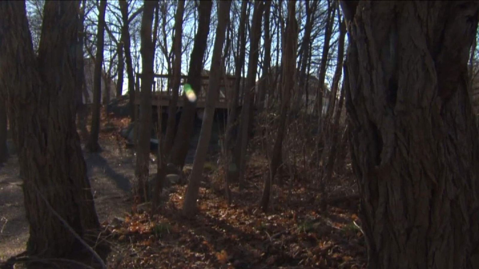 Site Of Salem Witch Trial Hangings Verified | US News | Sky News