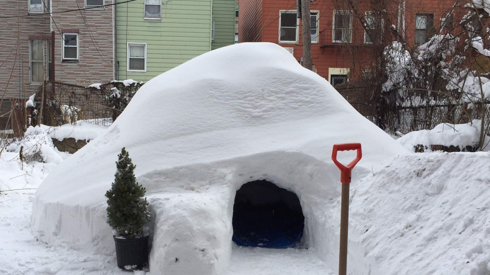 Storm Jonas: New York Igloo Listed On Airbnb | US News | Sky News