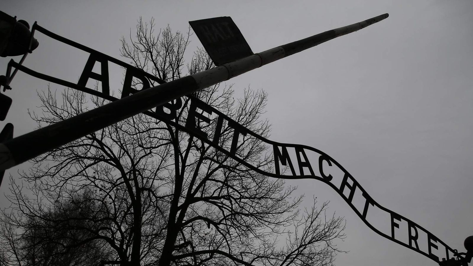 VW boss sorry for phrase evoking Nazi slogan | Money News | Sky News