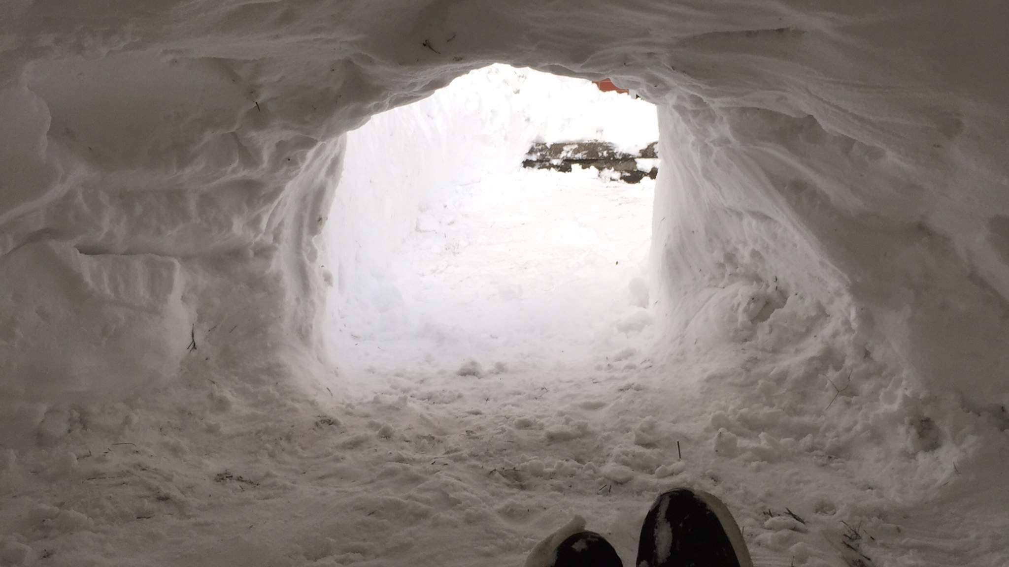 Storm Jonas: New York Igloo Listed On Airbnb | US News | Sky News