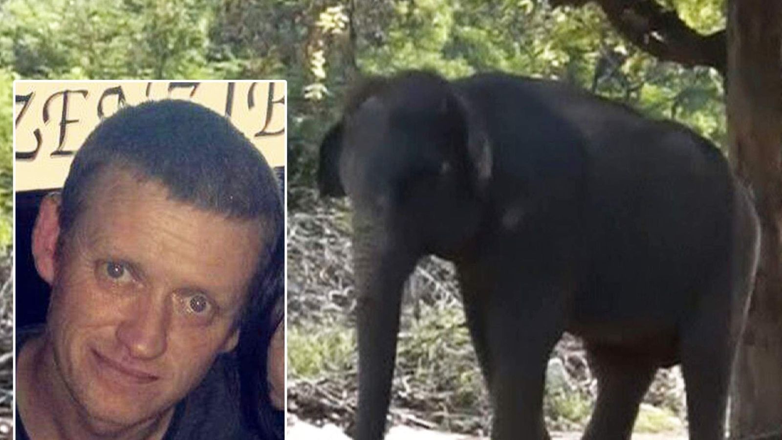 Family's Shock At Tourist's Elephant Death | World News | Sky News