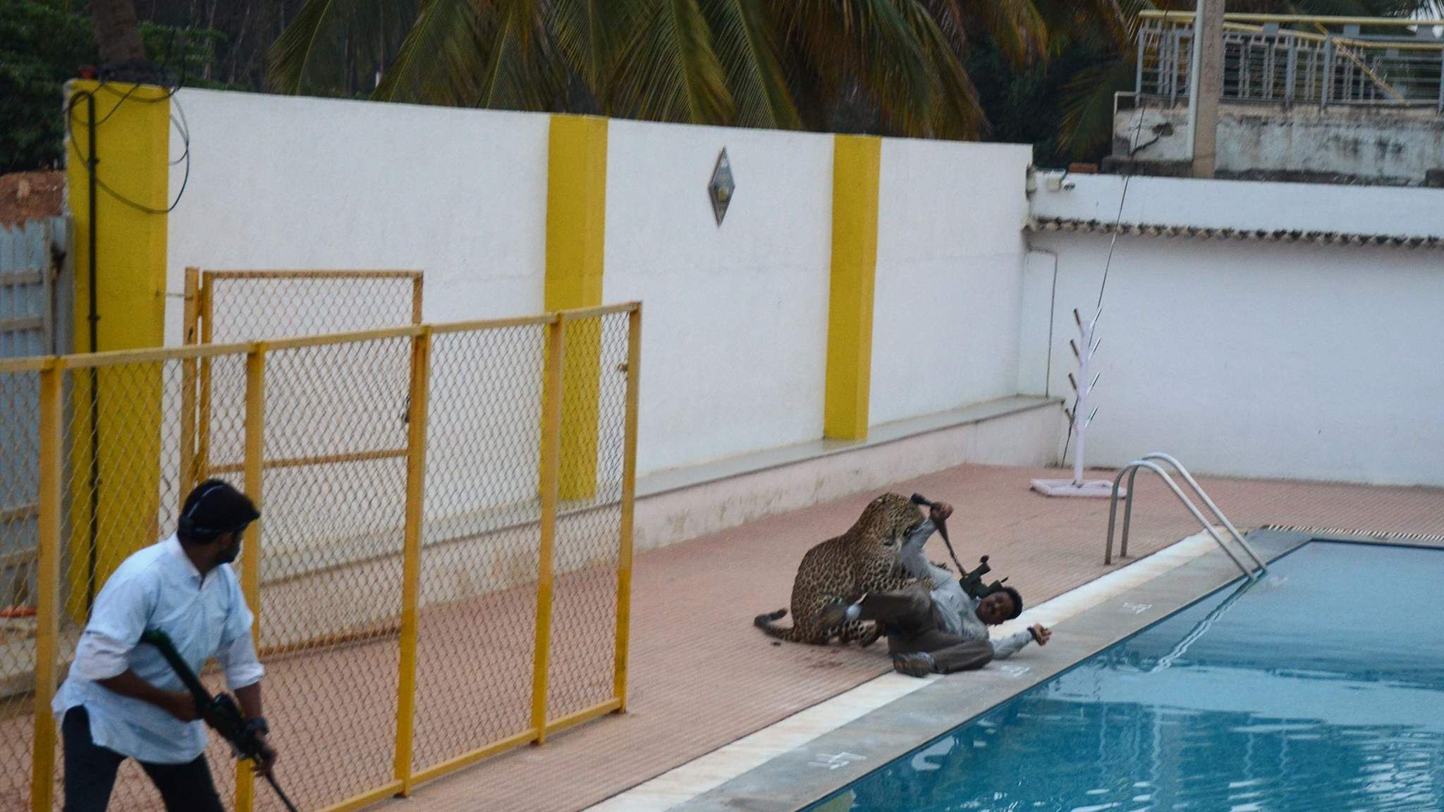 Leopard That Injured Five Escapes From Zoo | World News | Sky News