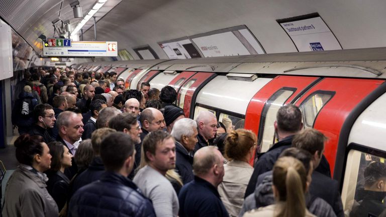 Bug Causes Rush-Hour Confusion On Underground | Science, Climate & Tech ...