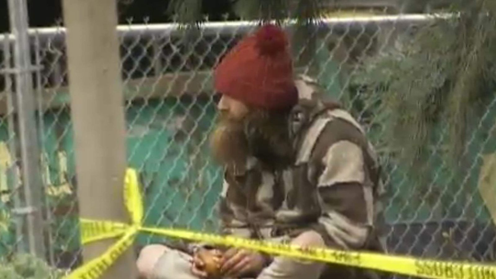 Seattle Man Climbs Down From Top Of 80ft Tree | US News | Sky News