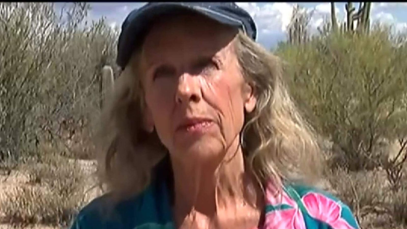 Ann Rodgers Got Lost In A Forest On Her Way To Visit Her Grandchildren ...