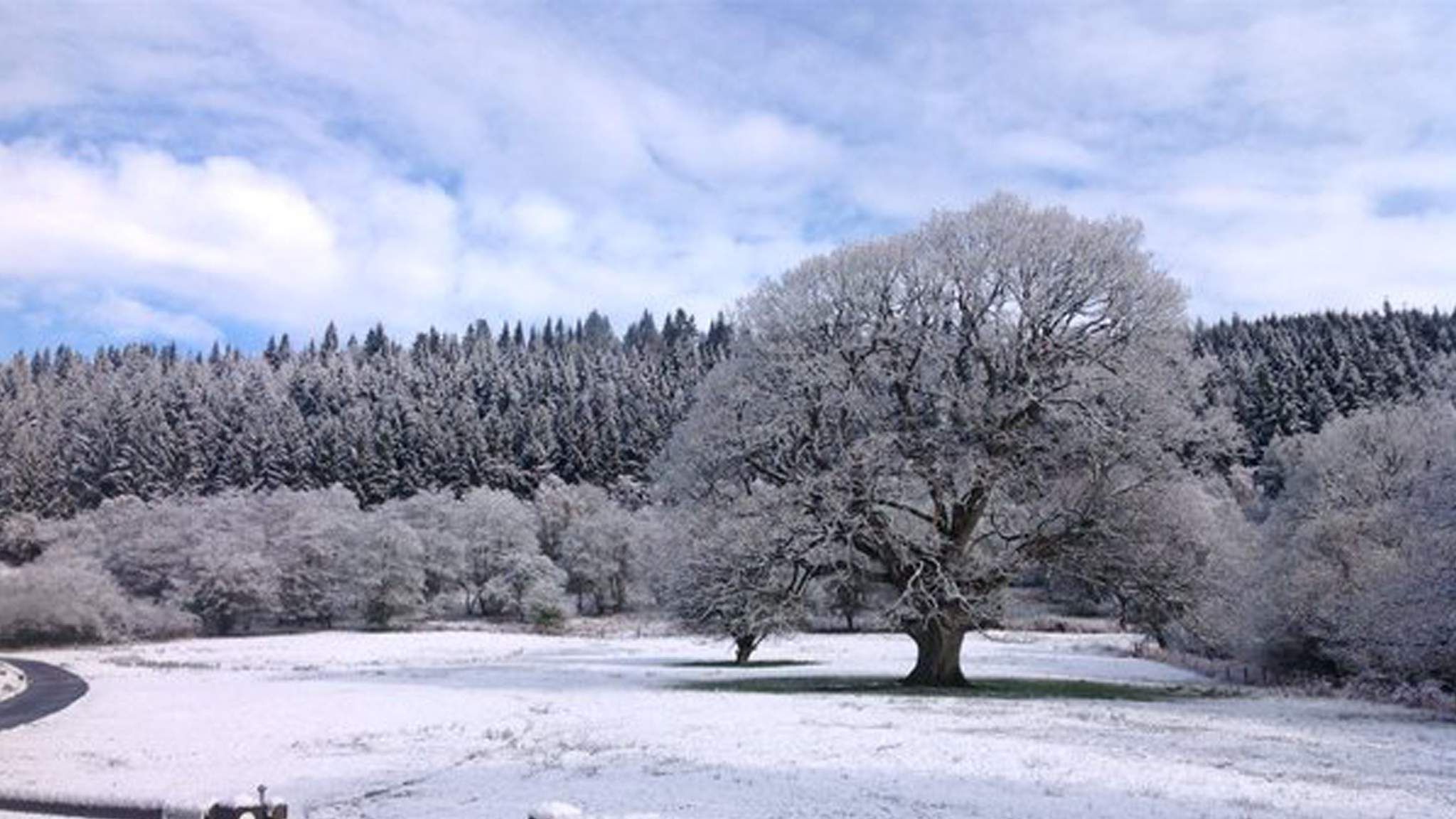 Spring On Hold As Snow Makes April Comeback | UK News | Sky News
