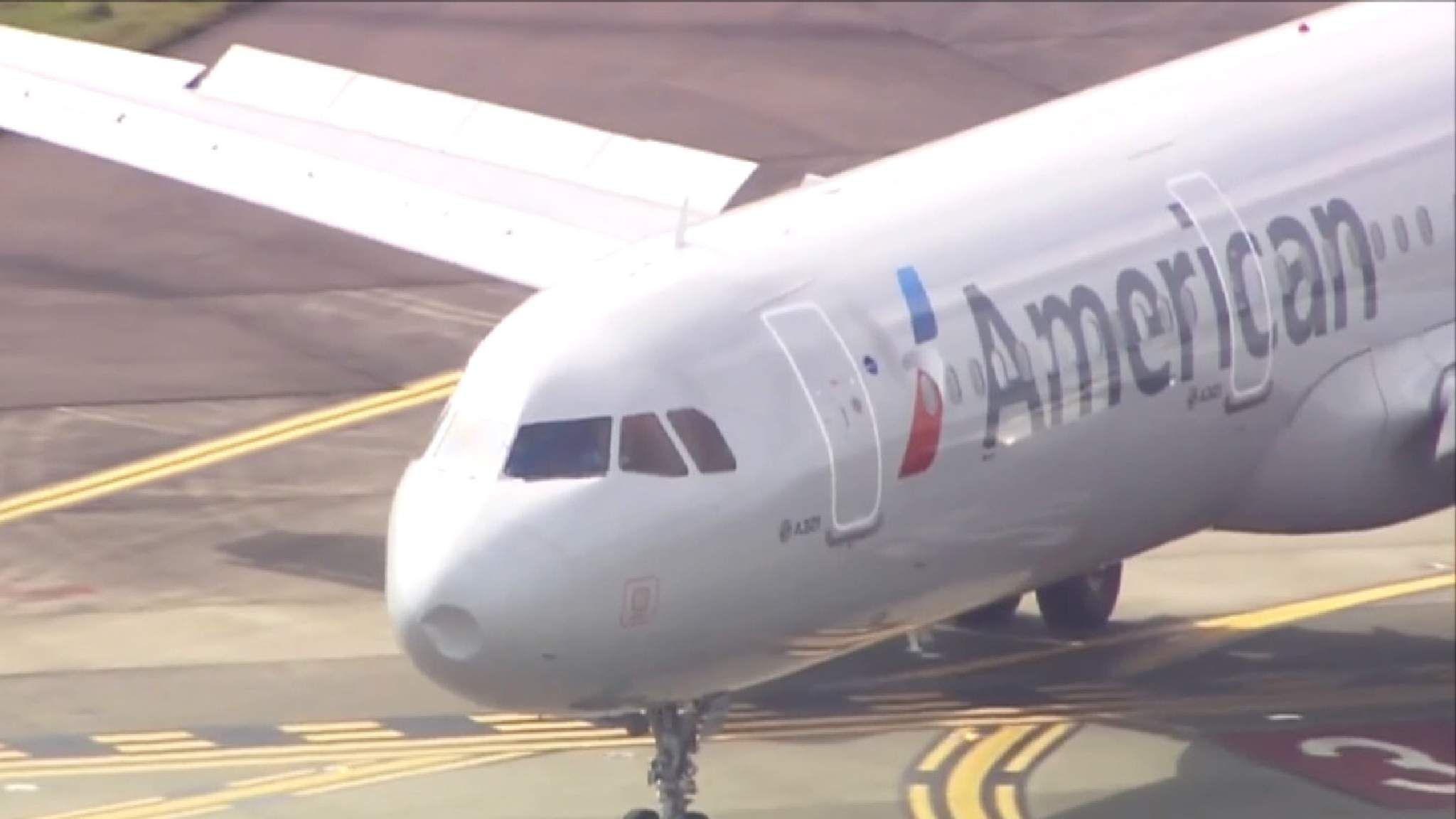 Bird Strike Leaves Large Dent In Plane | US News | Sky News