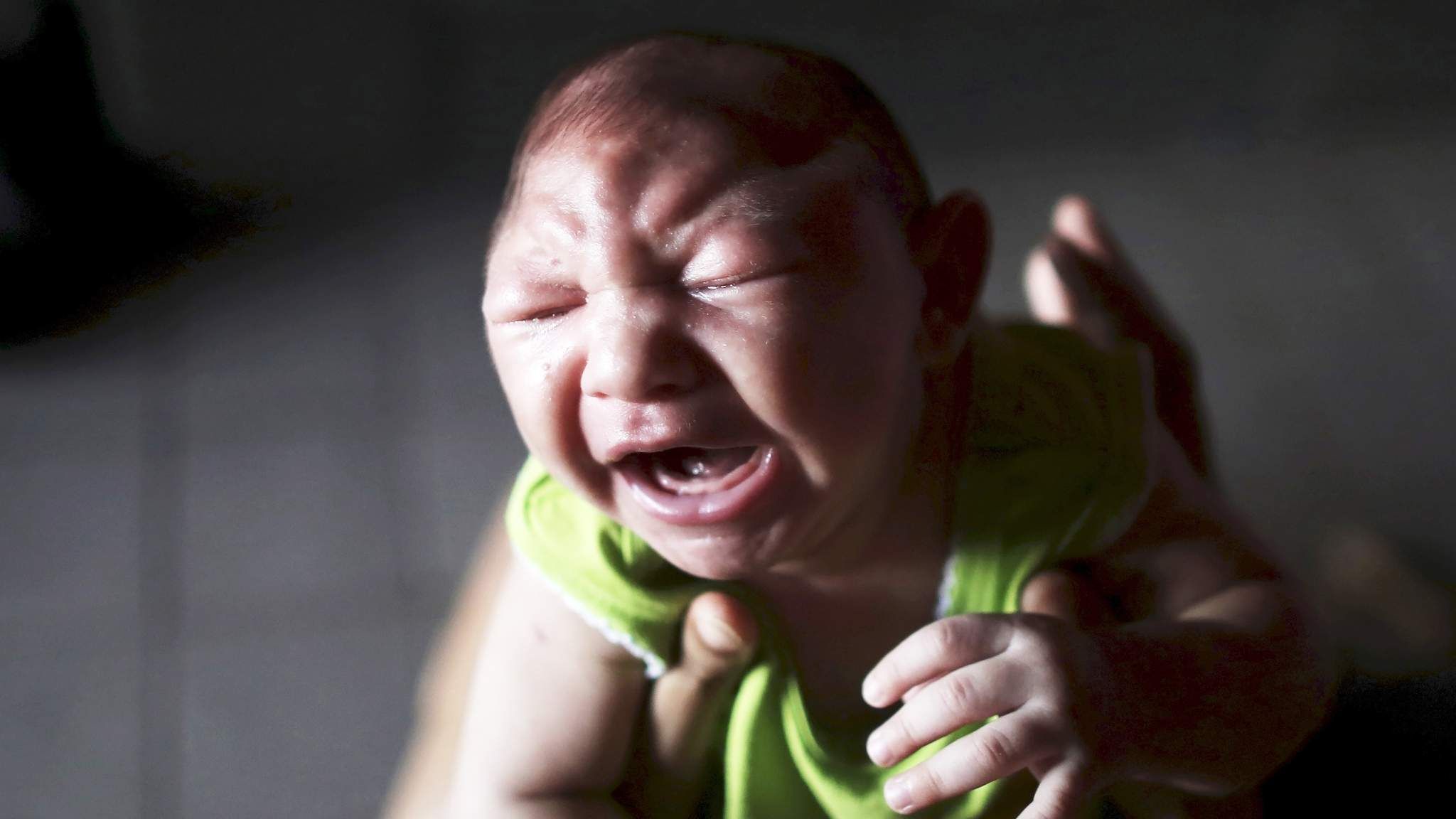 Mini Brains Help Scientists Understand Zika | World News | Sky News