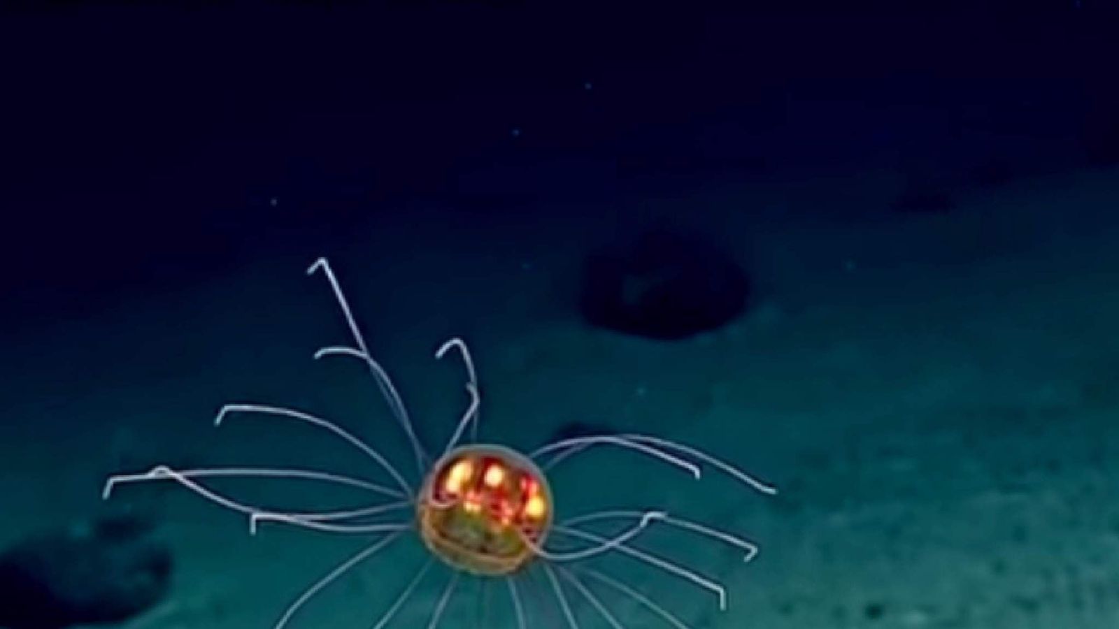 Captivating Live Video Of Deepest Place On Earth | Science, Climate ...