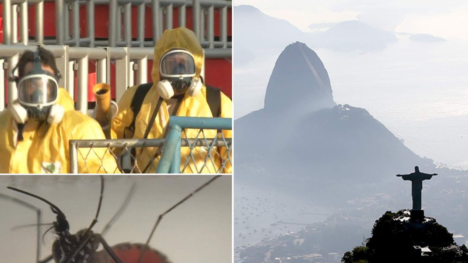 Rio Games Risk Being 'Olympics Of Brain Damage' | World News | Sky News