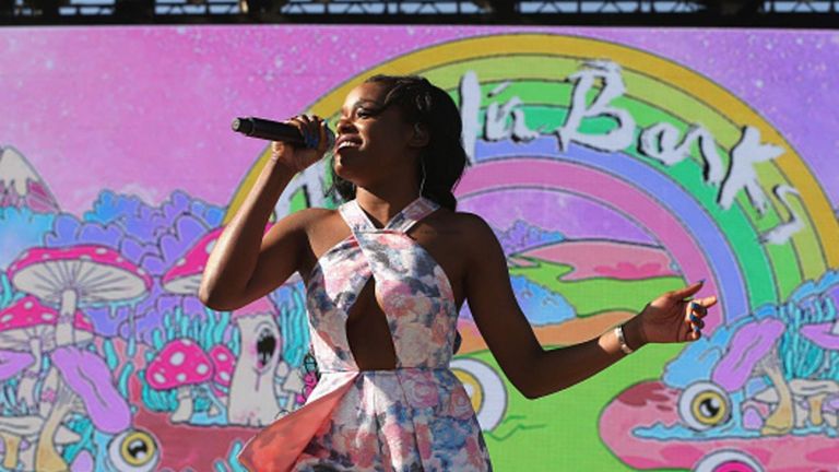 Festival Drops Azealia Banks Over Zayn Rant | Ents & Arts News | Sky News