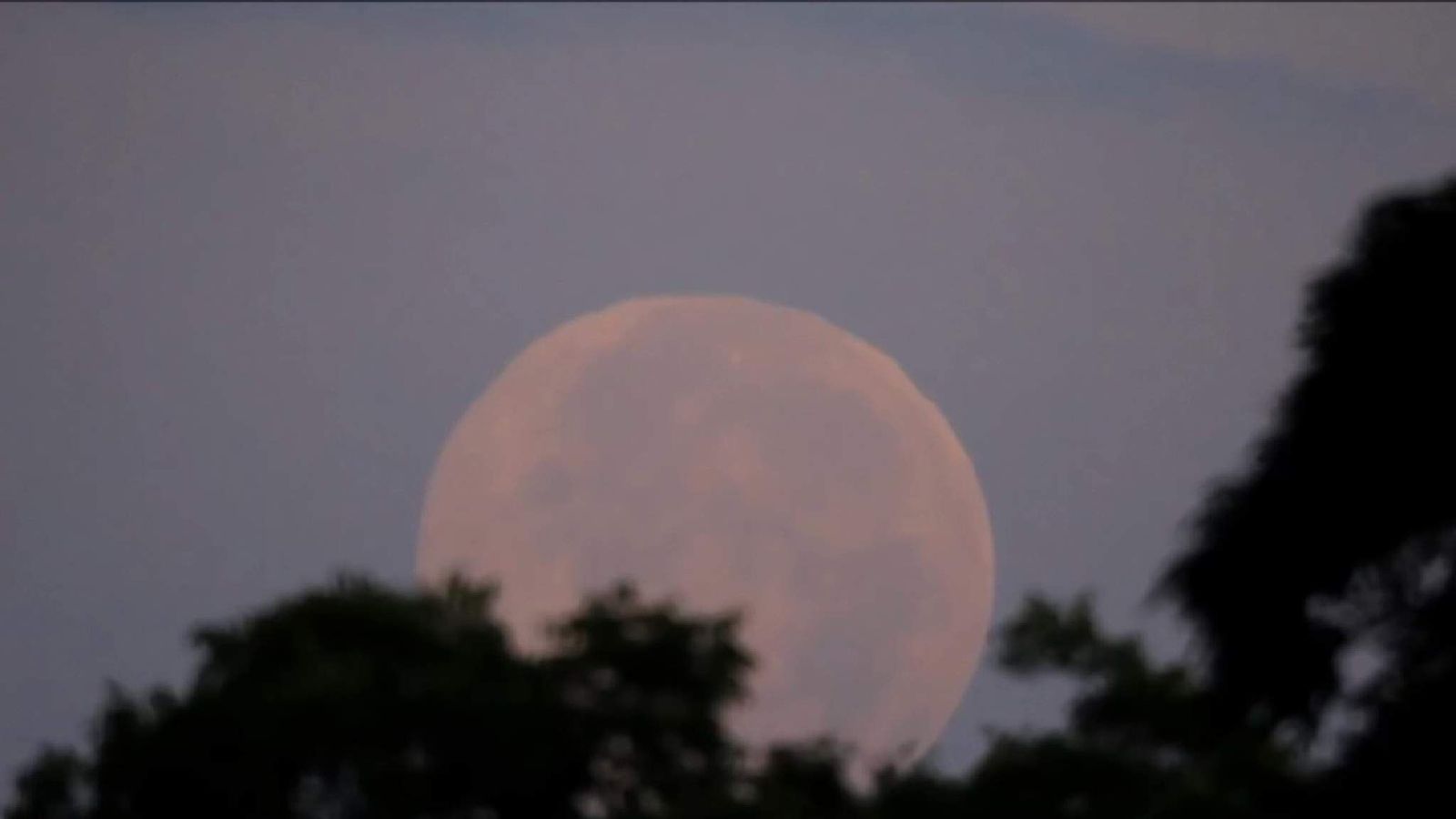 Rare Solstice Strawberry Moon Delights Onlookers | Scoop News | Sky News