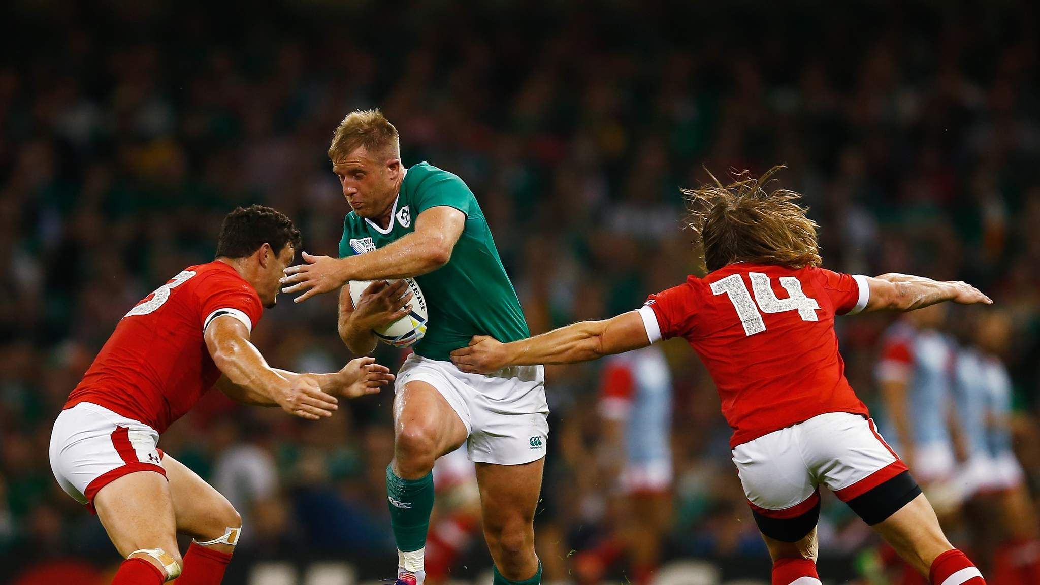 Ireland's Luke Fitzgerald Forced To Retire | Scoop News | Sky News