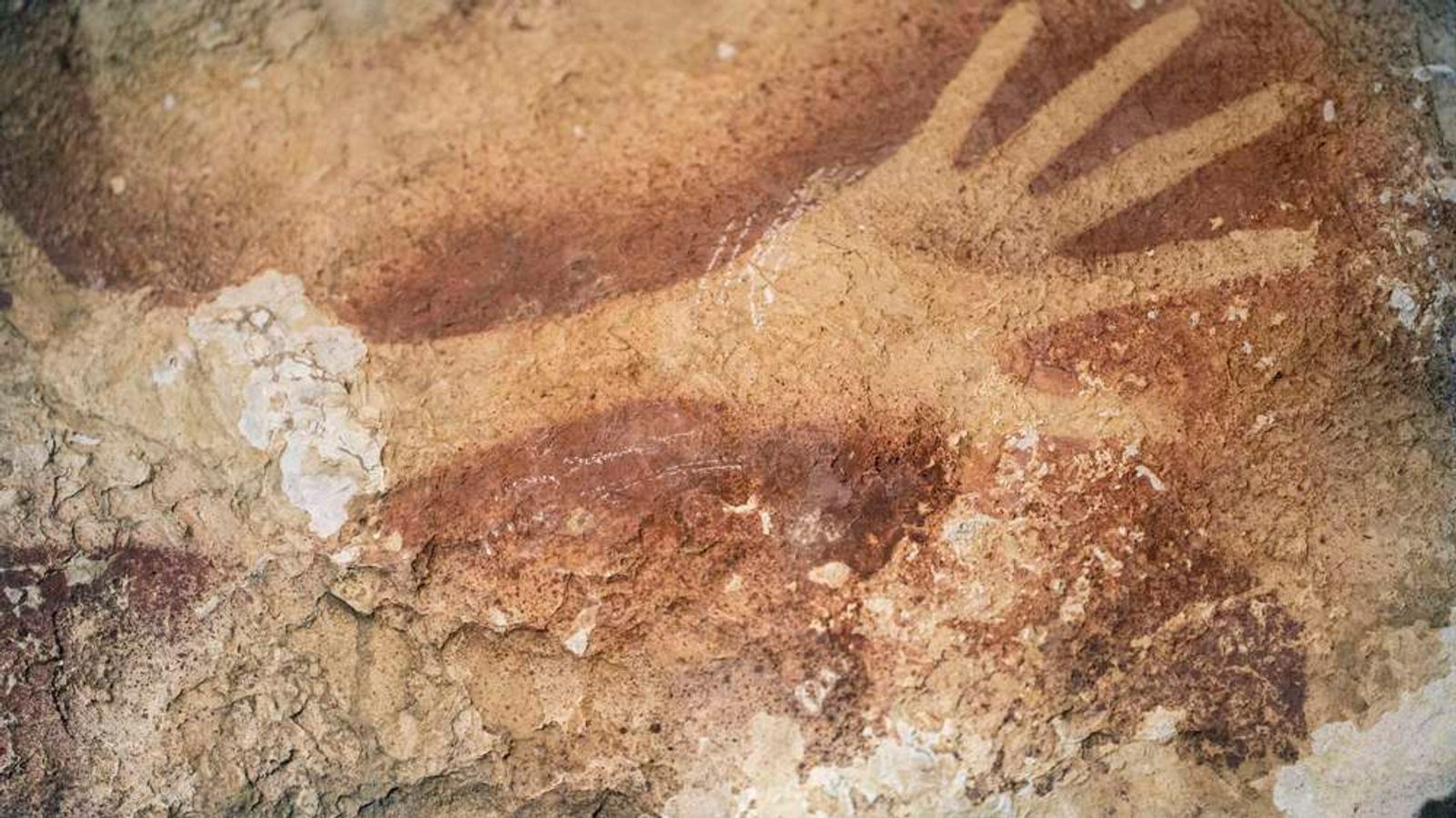 History Rewritten By 40,000-Year-Old Cave Art | World News | Sky News