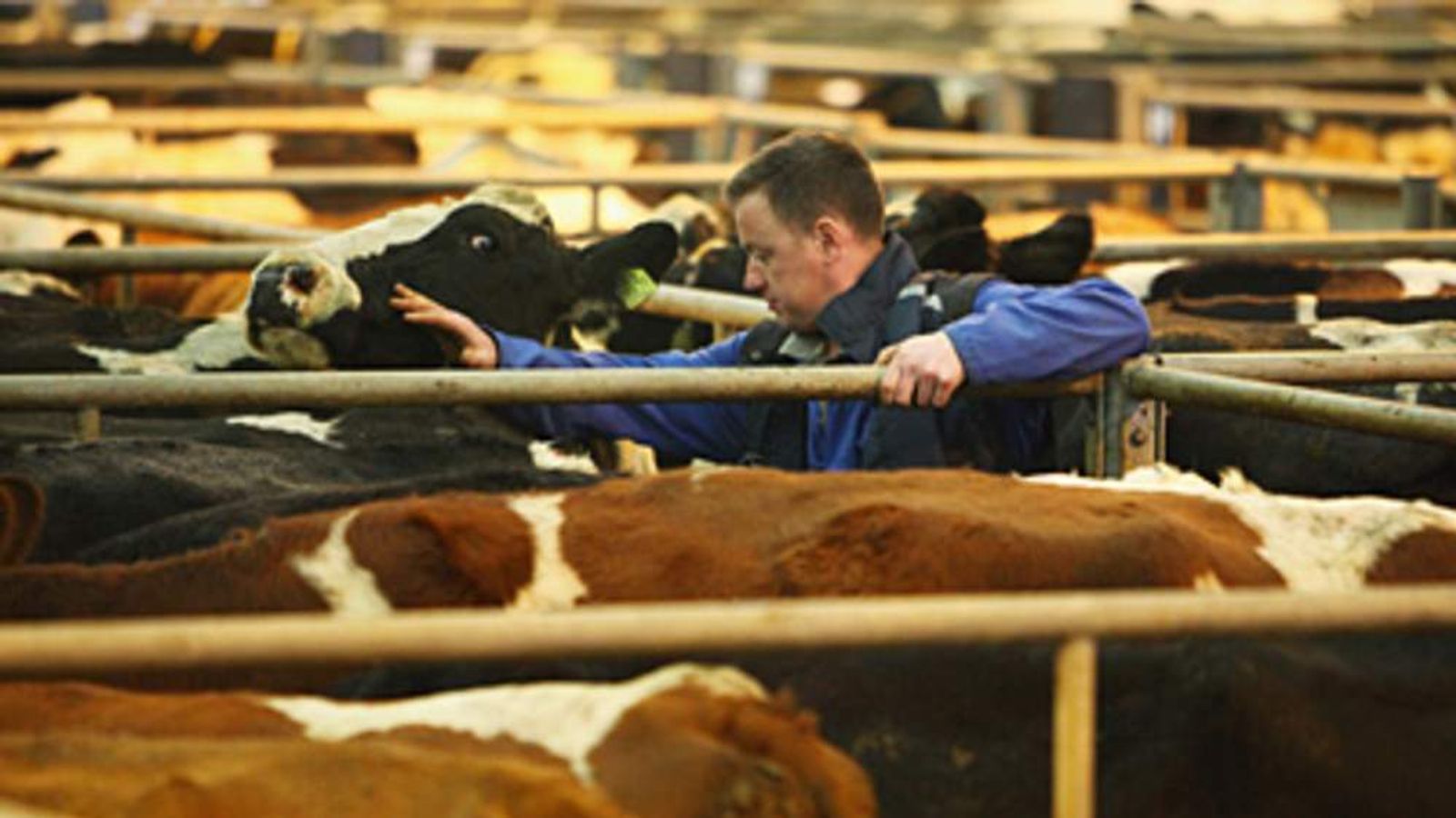 Cloned Meat Highlights FSA Regulation Flaws | UK News | Sky News