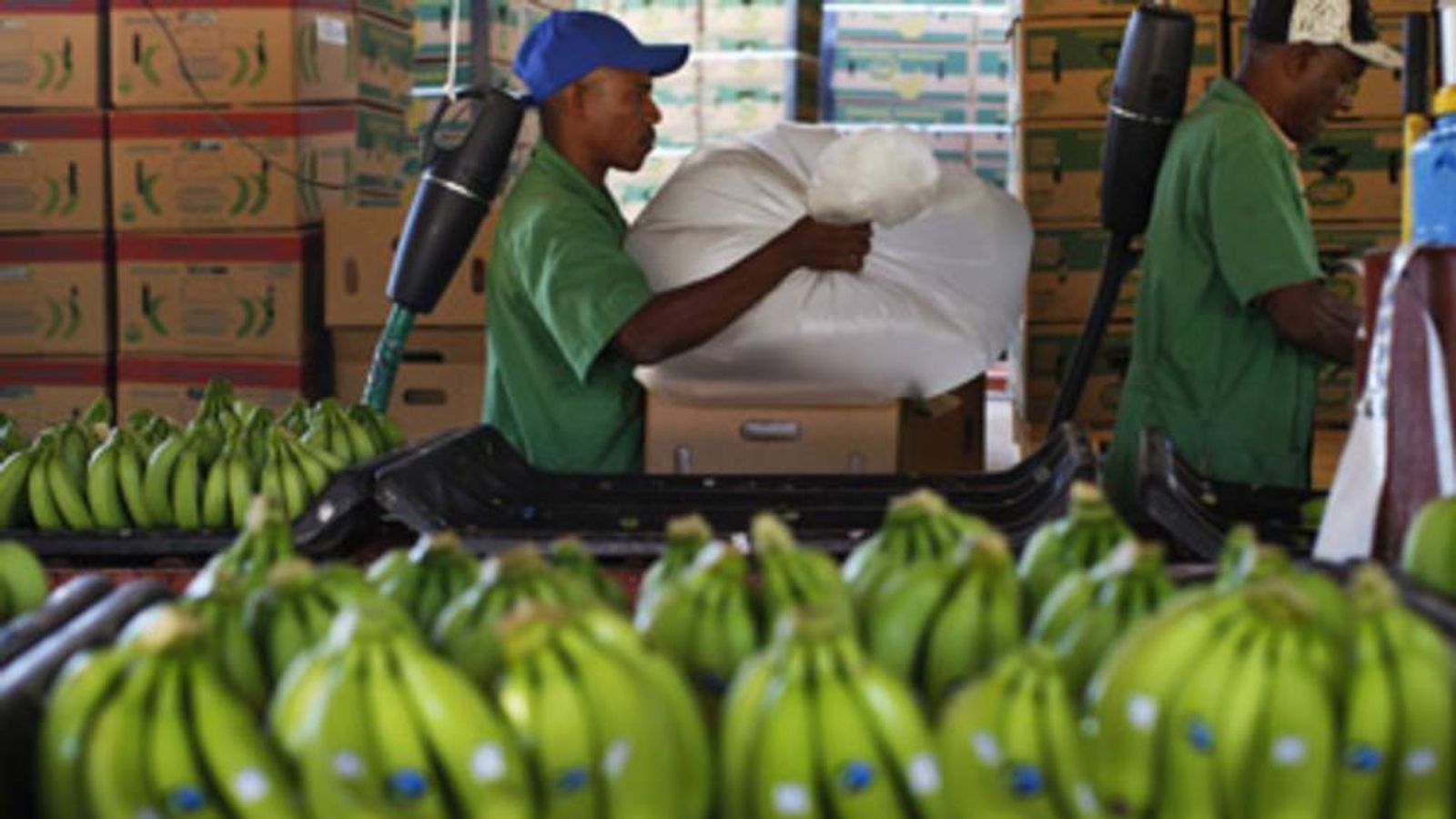 Why Food Security Means More Trade Not Less | Money News | Sky News