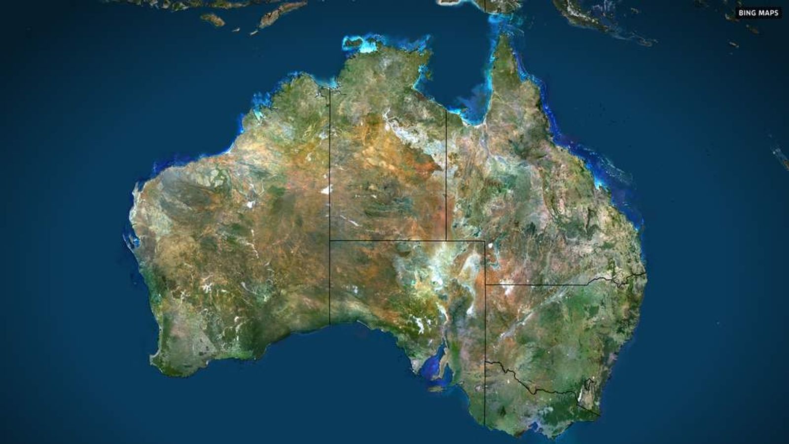 Anti-Venom Running Low For Deadliest Spider | World News | Sky News