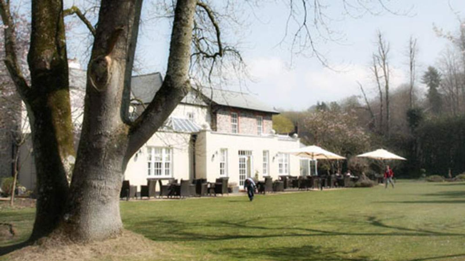 Emperor Of Exmoor 'Found' Mounted In Hotel | UK News | Sky News