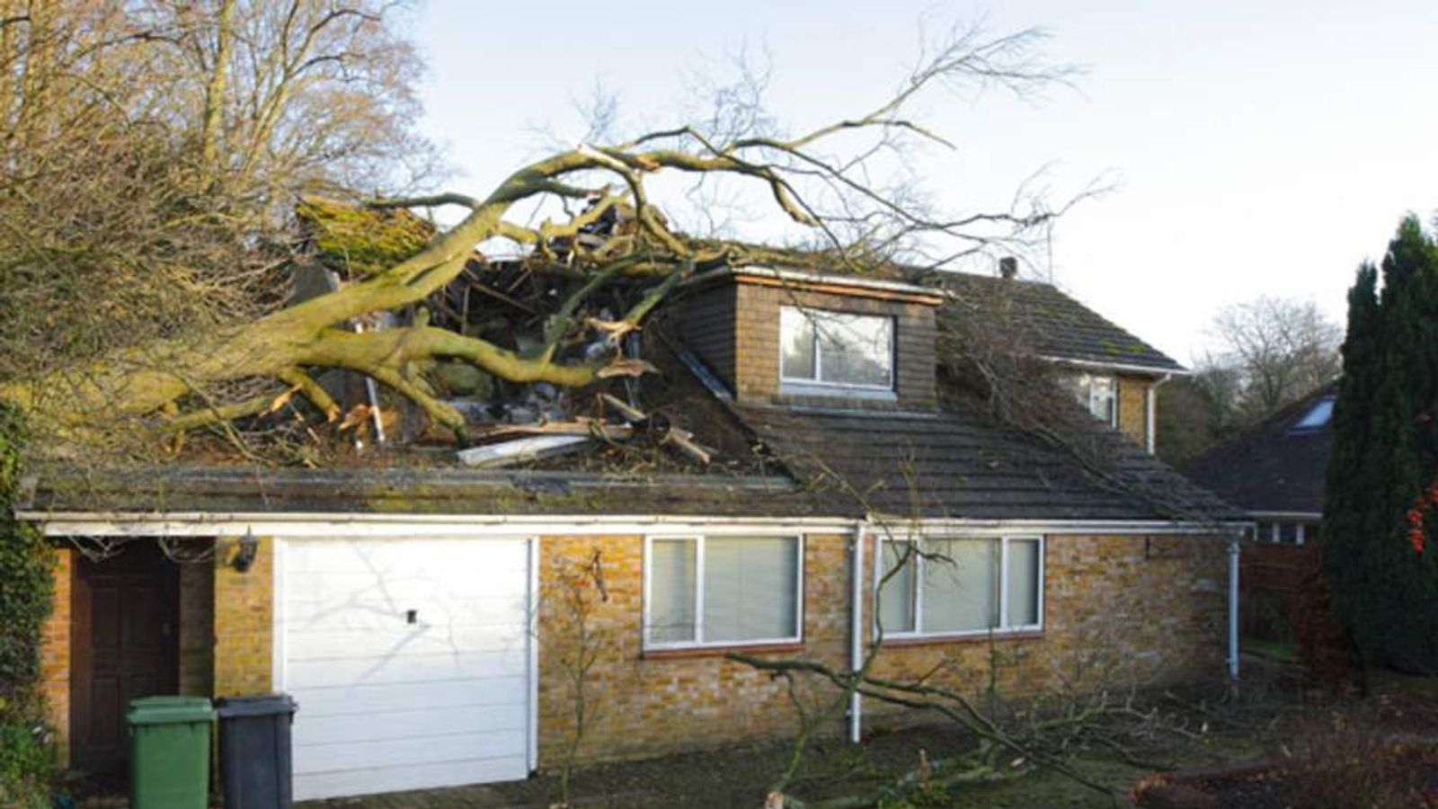 Tree Falls On Bedroom As Winds Batter UK | UK News | Sky News