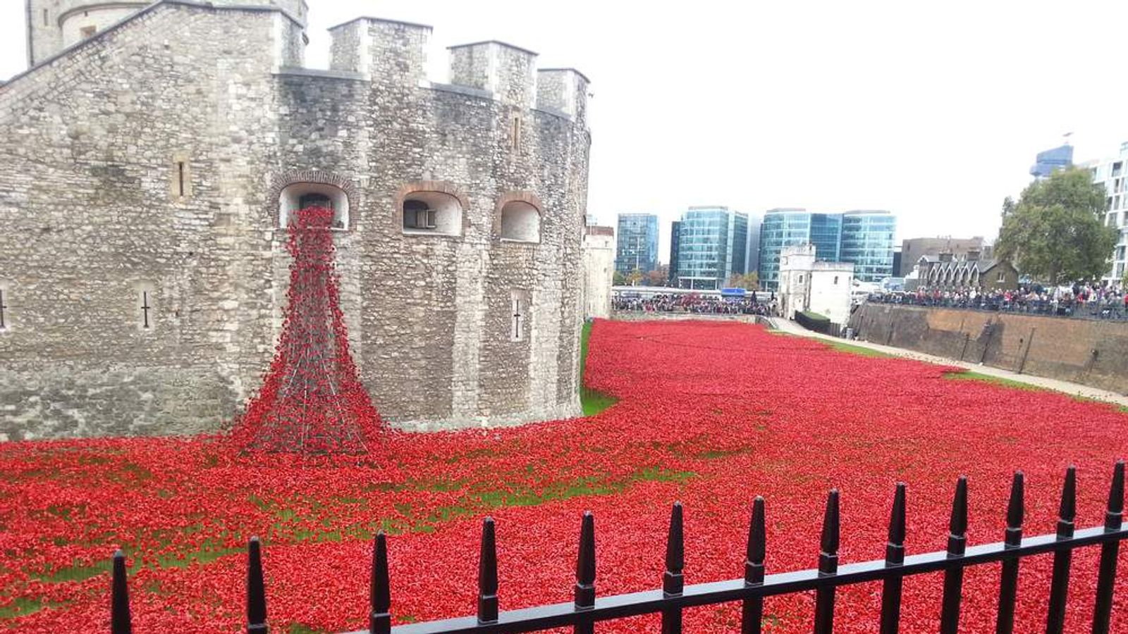 A look at the symbolism of the poppy in light of Tower of London ...