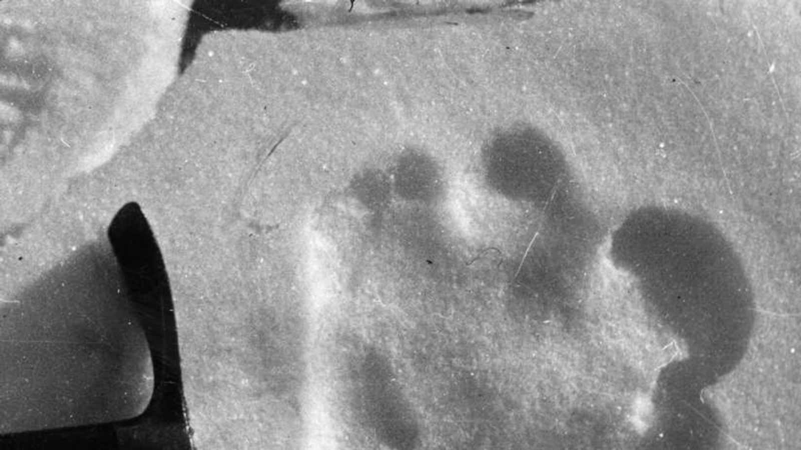 Has Bigfoot Been Spotted At Yellowstone? | US News | Sky News