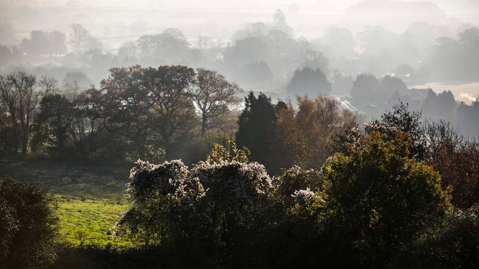 Jo Wheeler has the latest forecast | Scoop News | Sky News