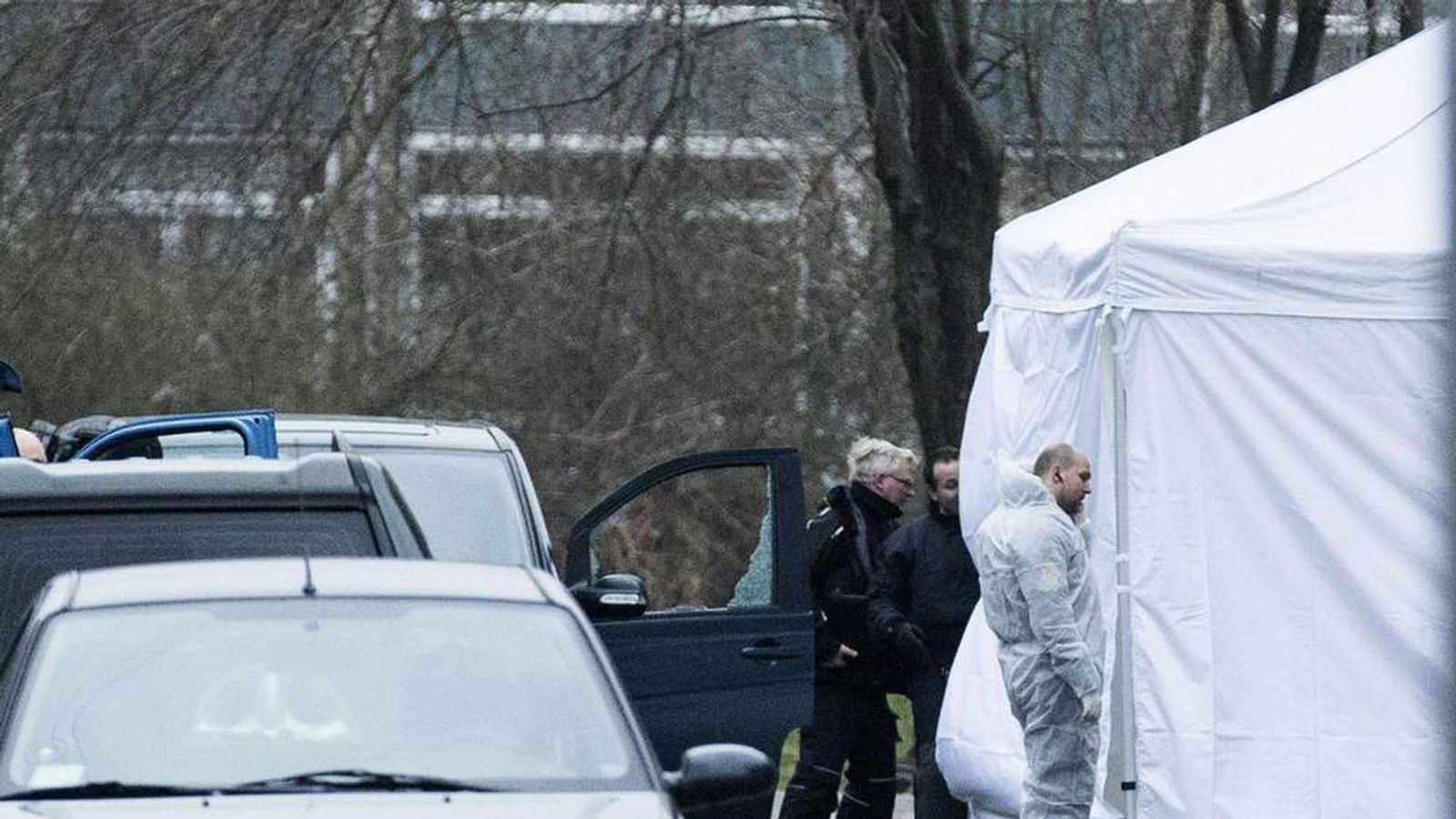 Danish Shooting Suspect Had 'Violent History' | World News | Sky News