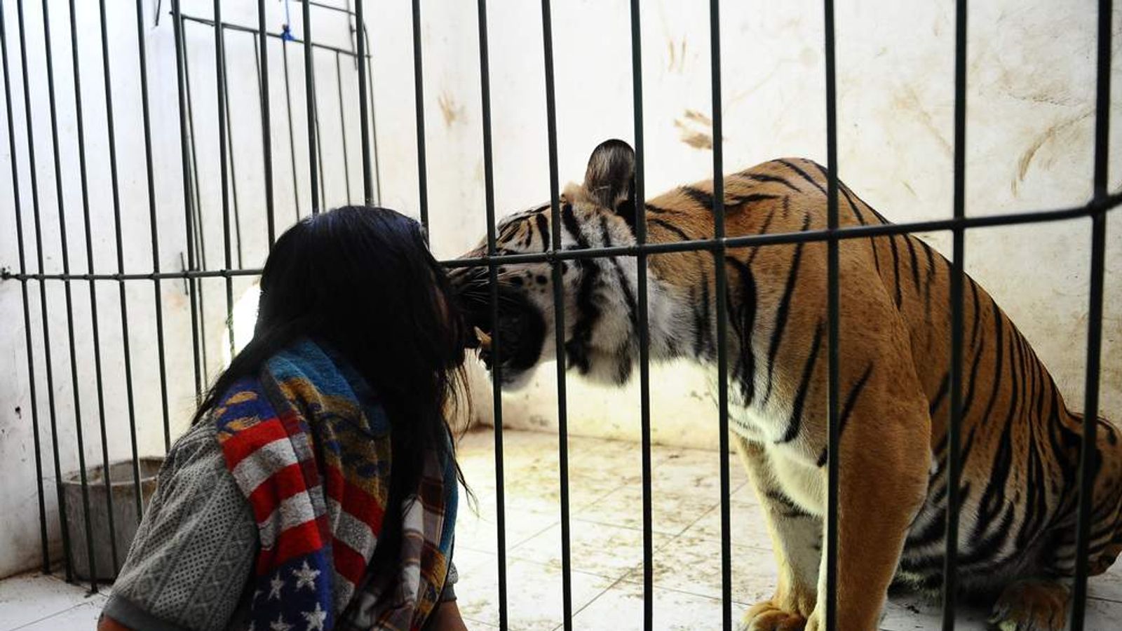 Indonesia Man Is 'Best Friends' With Tiger | Scoop News | Sky News
