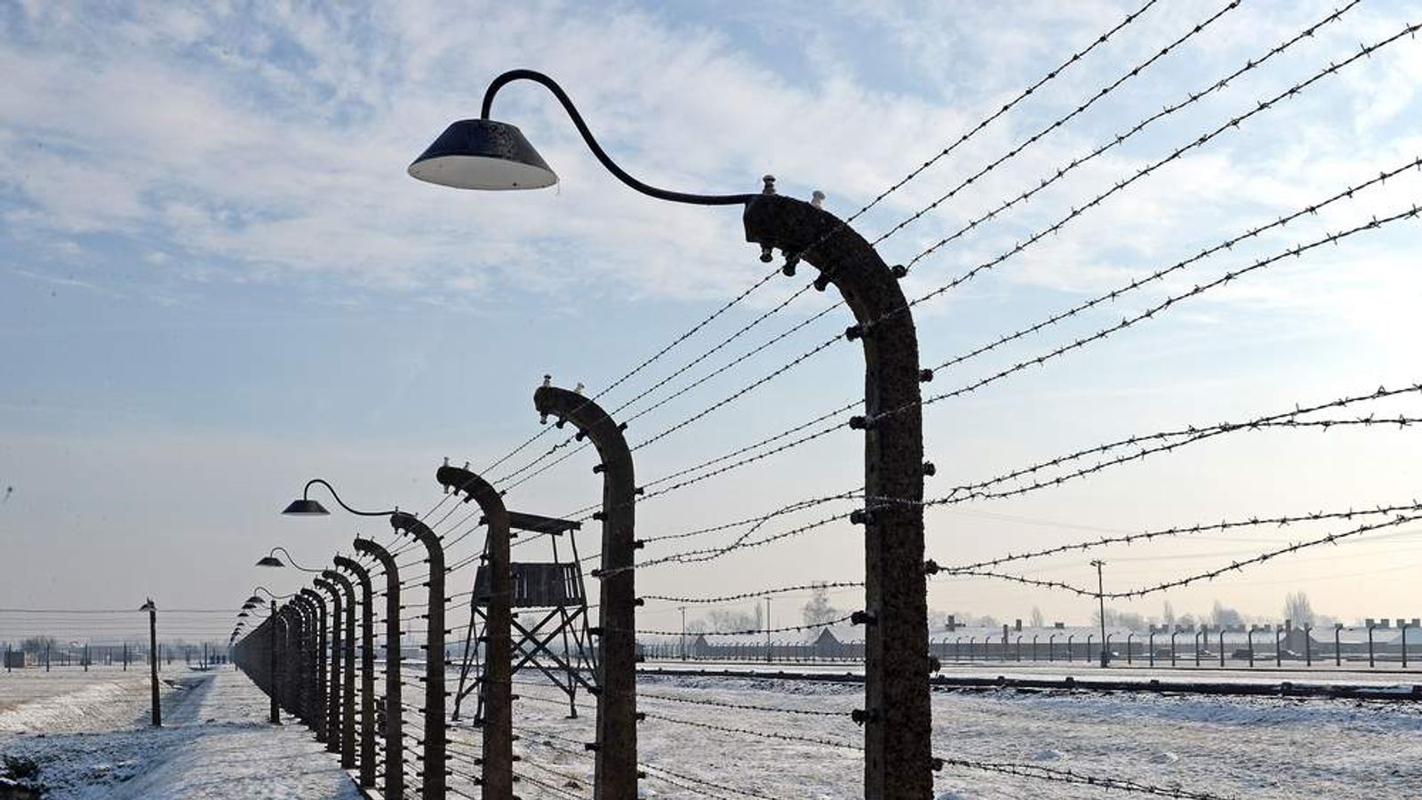 Ex-SS Guard: Trains Queued At Auschwitz | World News | Sky News