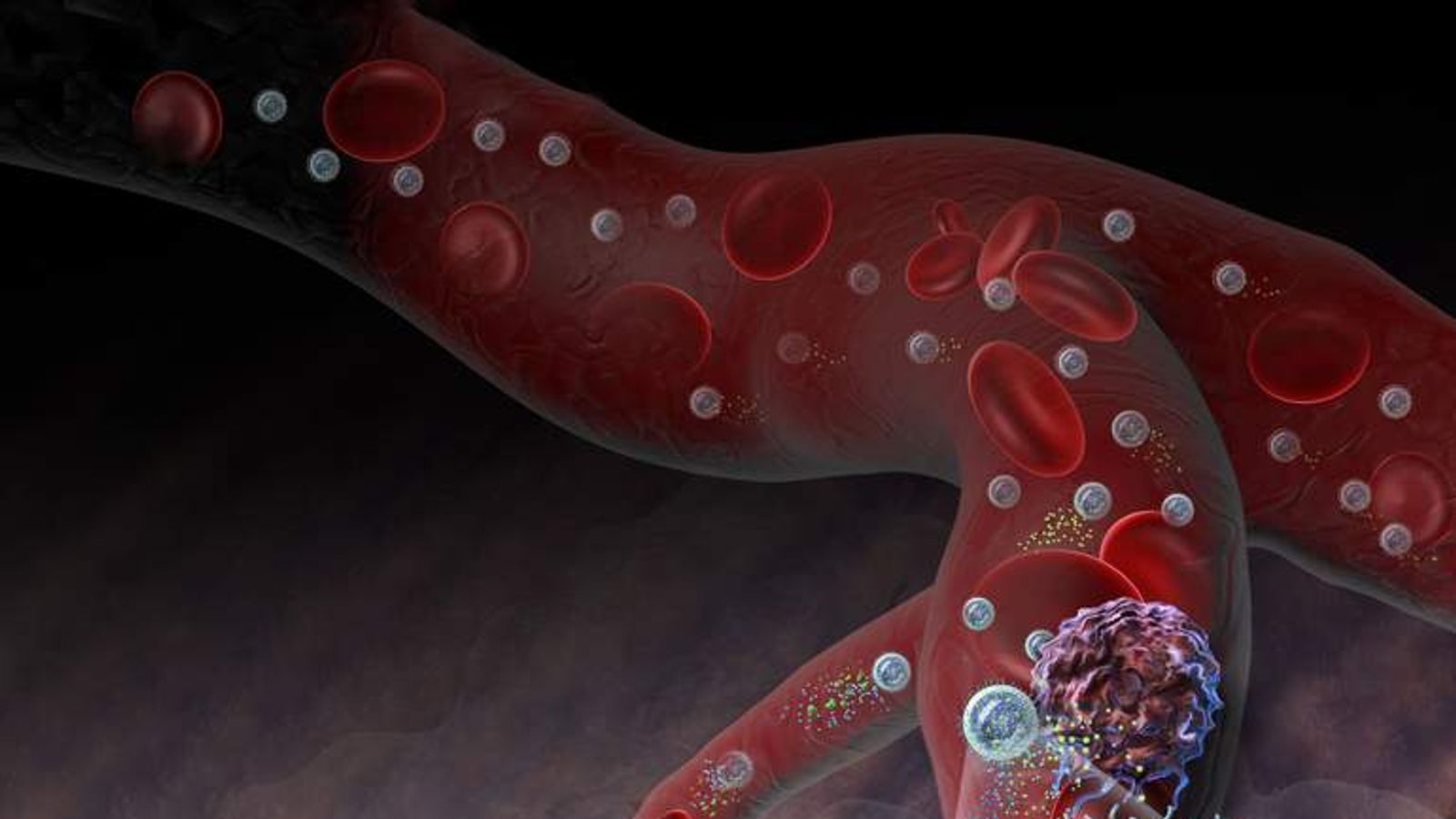 Cancer 'Smart Bomb' Successfully Tested In US | World News | Sky News