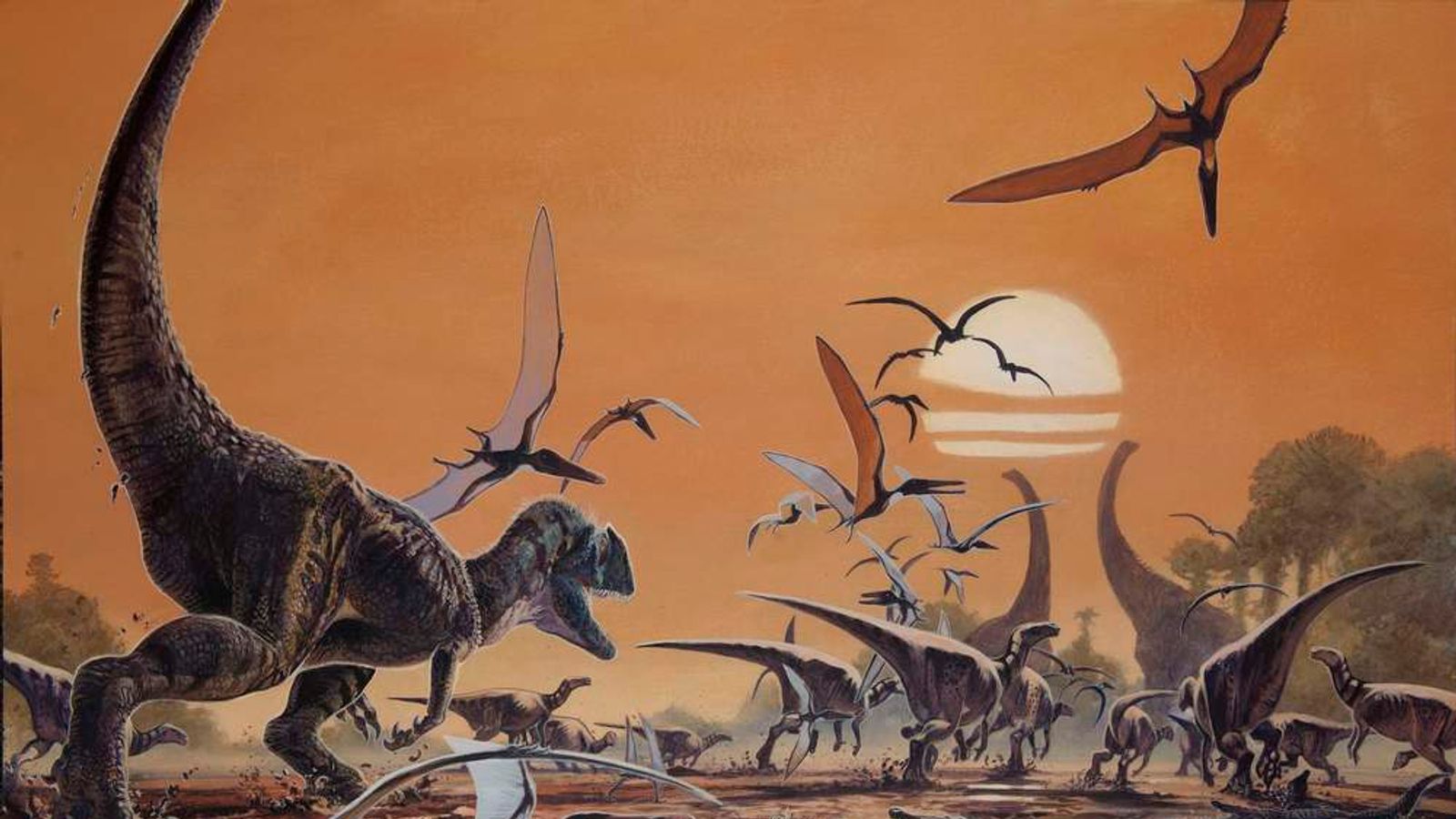 Cousins Of Tyrannosaurus Rex 'Roamed Britain' | UK News | Sky News
