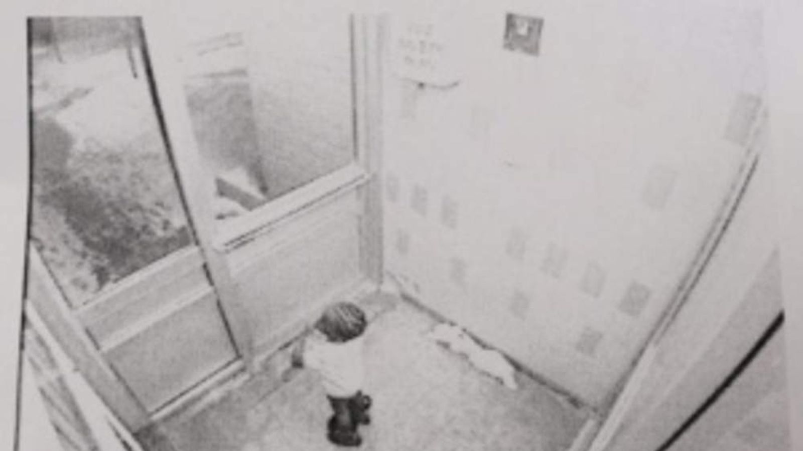 Search For Missing Boy, 3, Ends In Tragedy | World News | Sky News