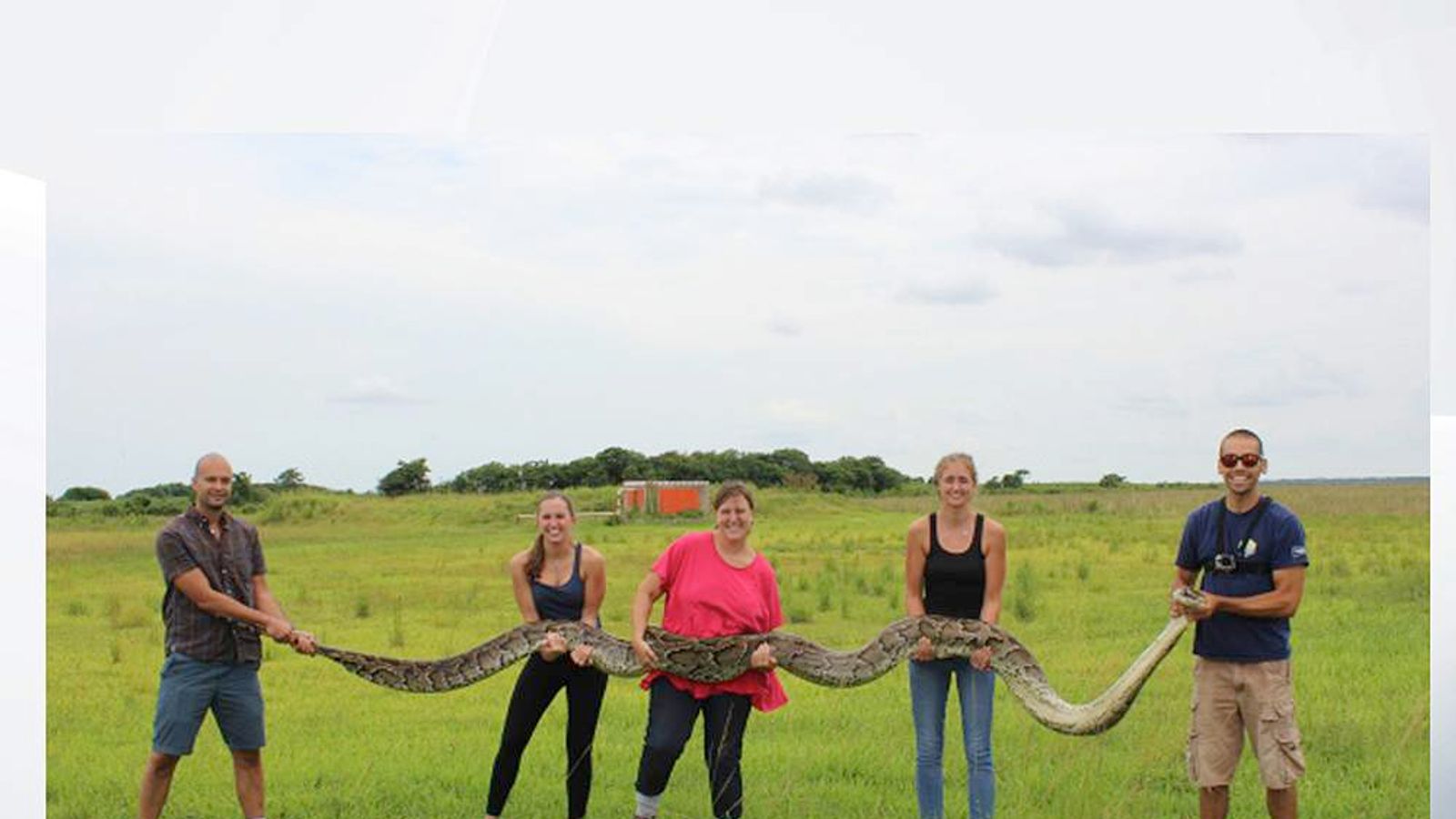 Burmese Python Shot Dead In Missouri Yard | US News | Sky News