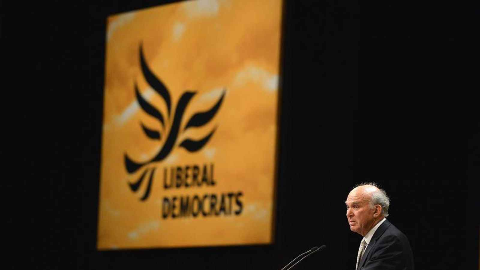 Lib Dem Conference: New Business Bank Plan | Politics News | Sky News