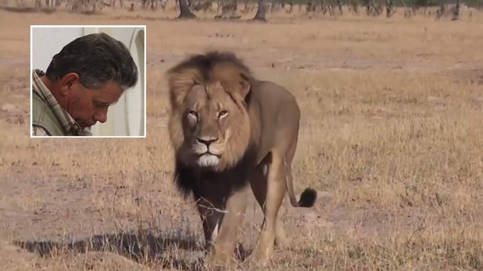 Hunter Who Helped Track Down Cecil The Lion For US Tourist Begins Trial ...