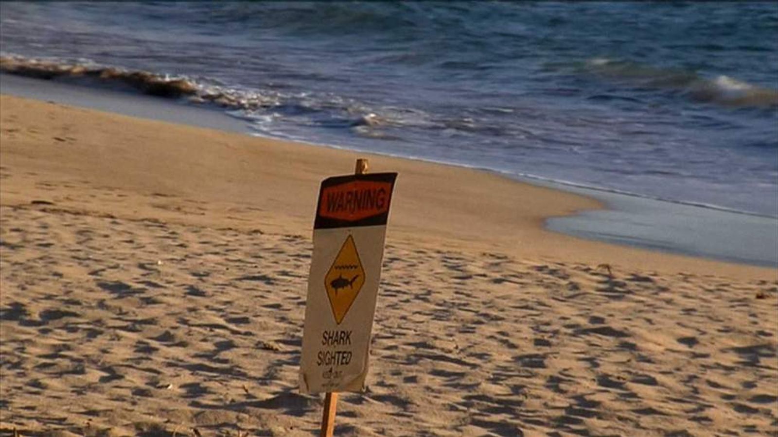 Shark Attack Victim Dies After Arm Bitten Off | World News | Sky News
