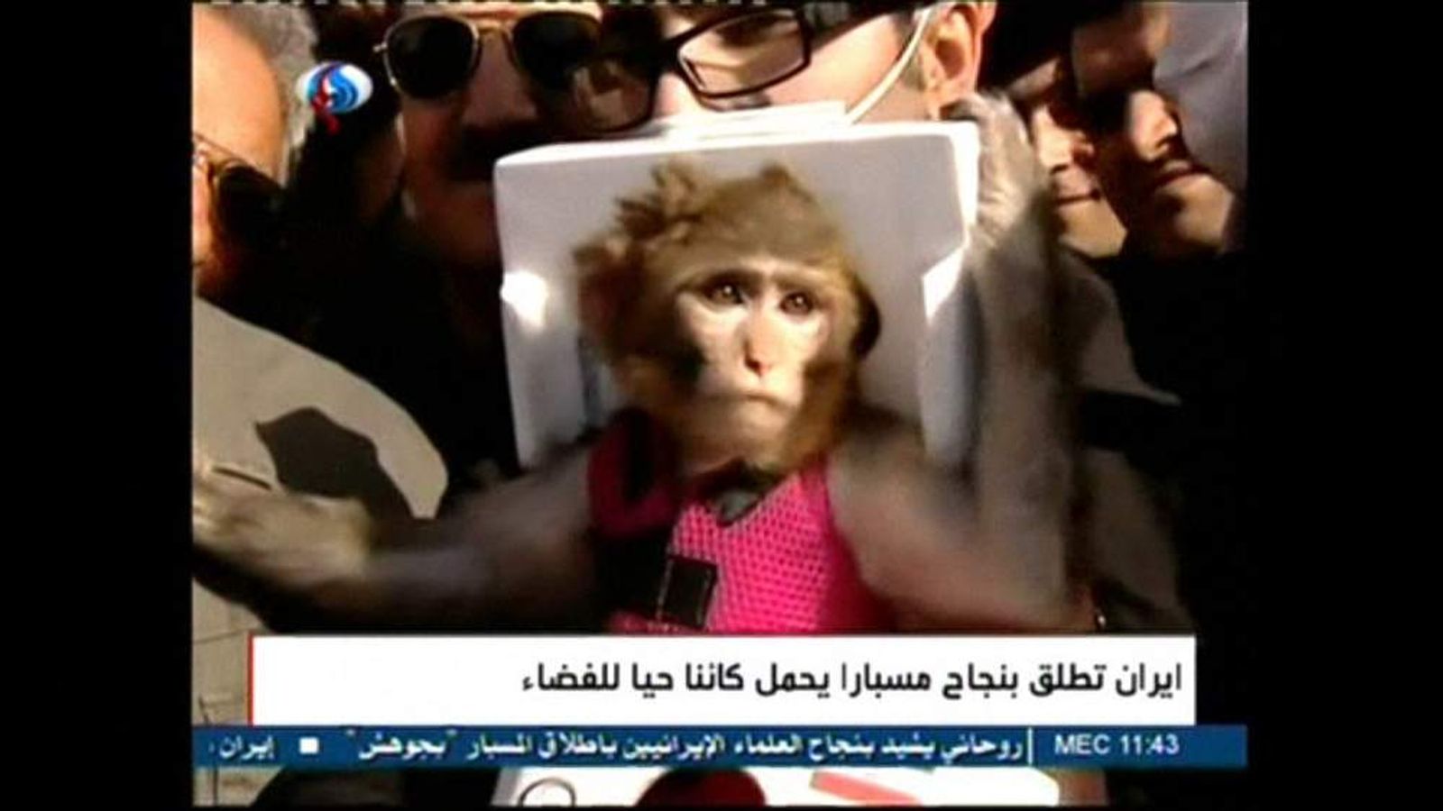 Space Monkey: Iran Claims Second Success | World News | Sky News