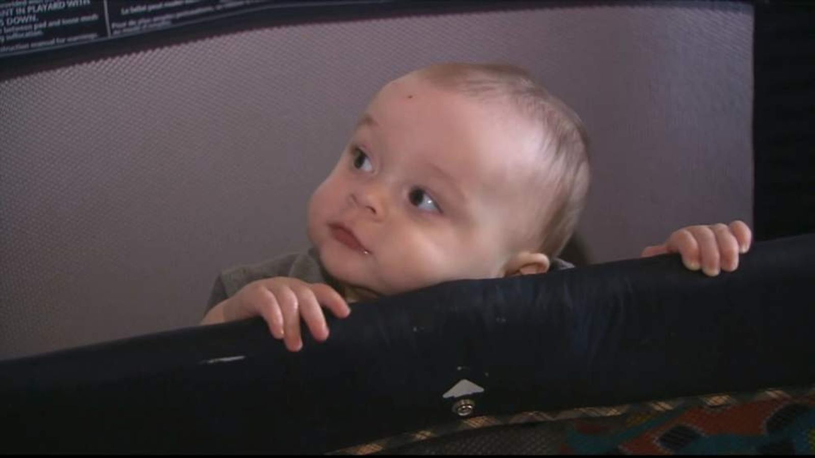 Therapy For 'Hostile' Cat That Trapped Family | US News | Sky News