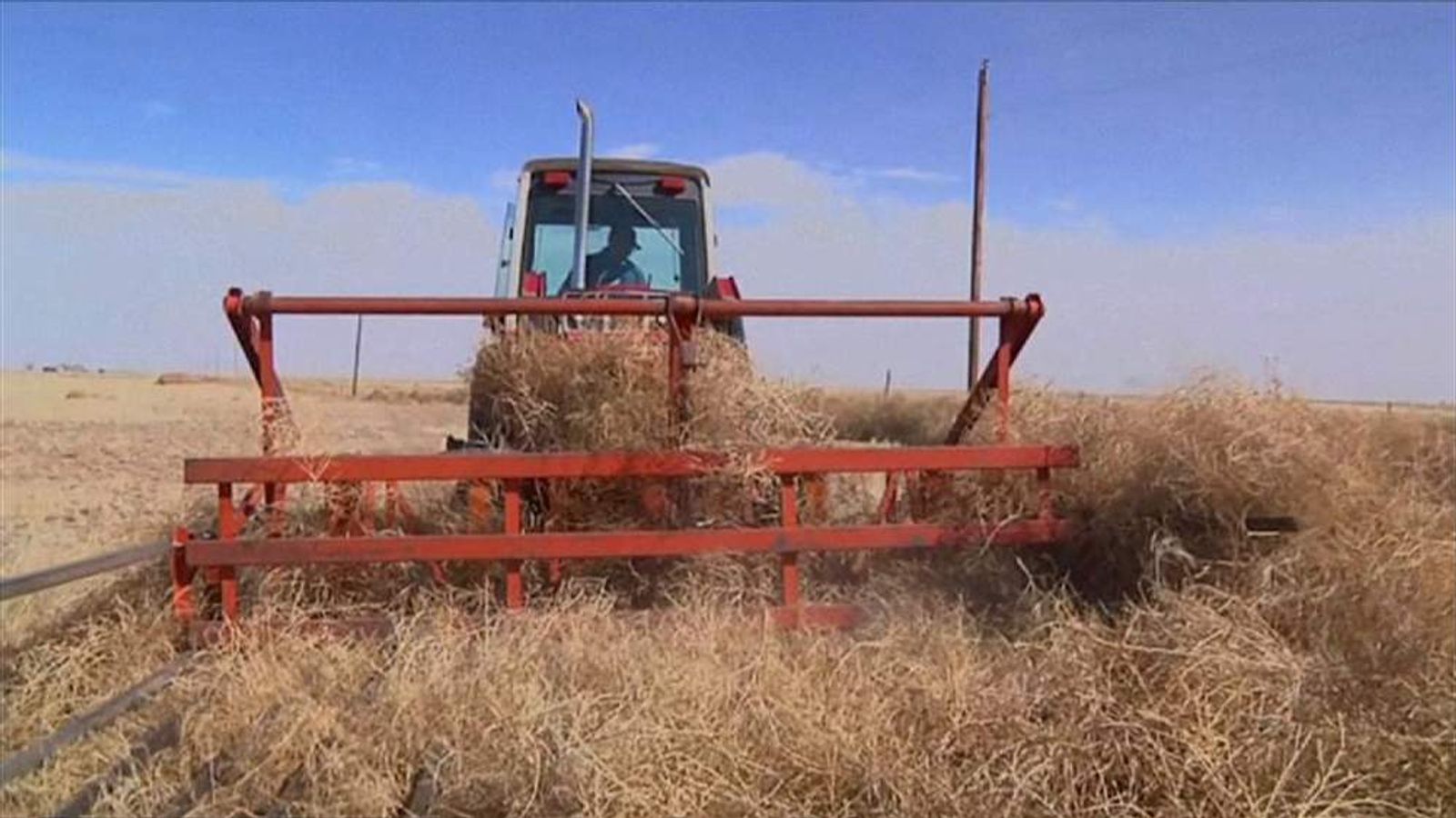 Tumbleweed Trouble In Drought-Hit Colorado | US News | Sky News
