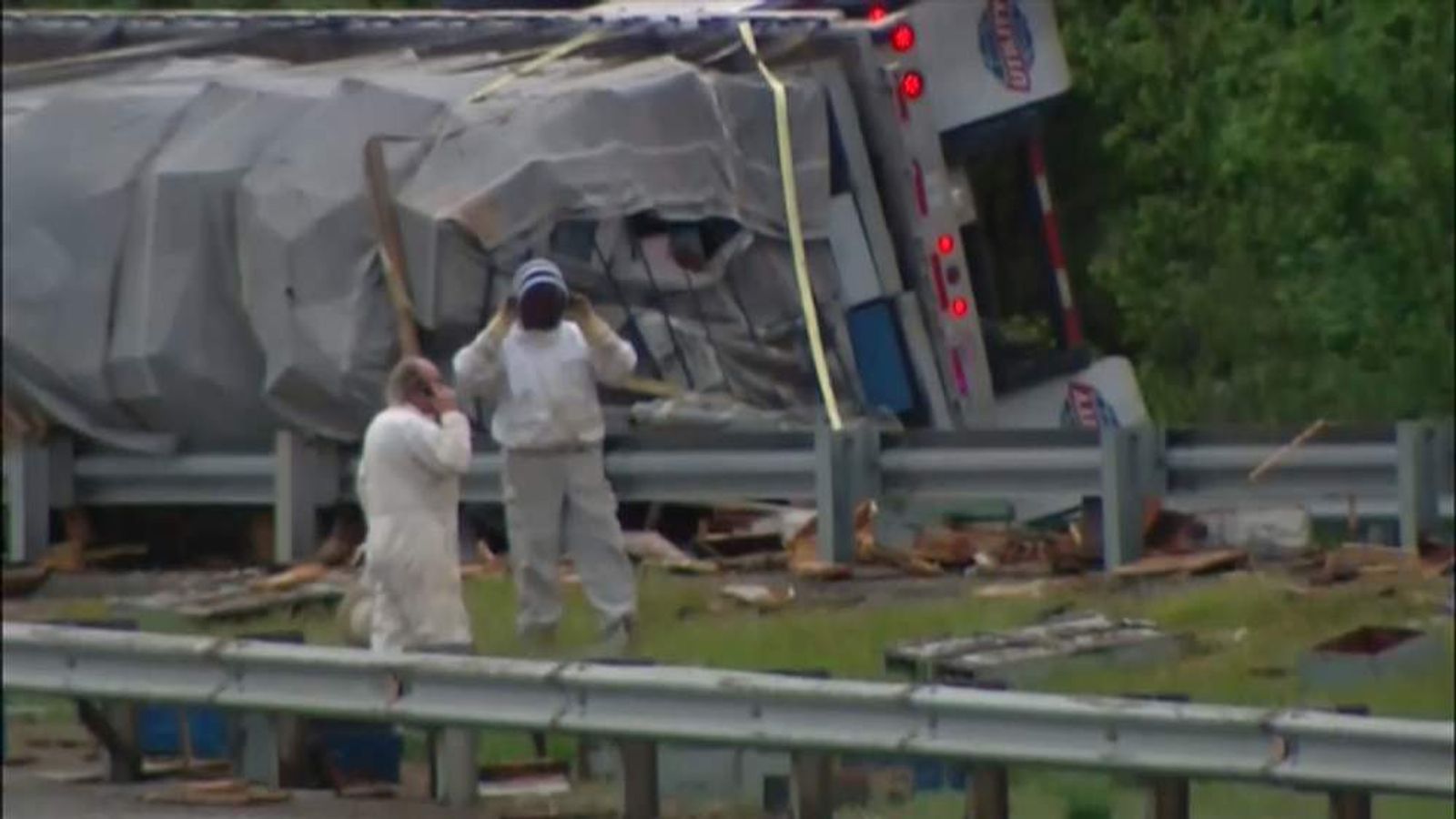 Millions Of Bees Swarm Road After Truck Crash | US News | Sky News