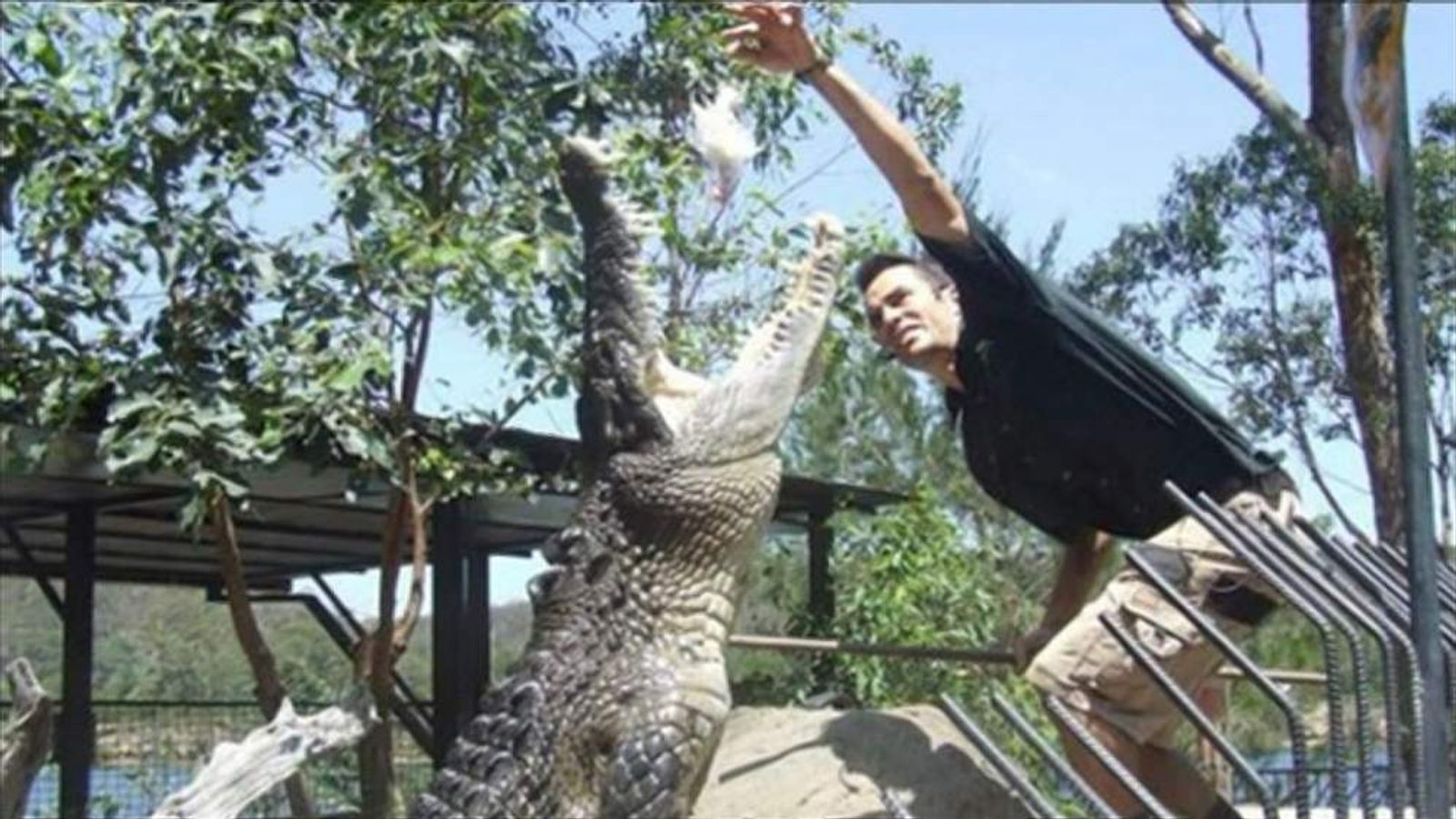 Crocodile Attacks Keeper At Zoo Feeding Show | World News | Sky News