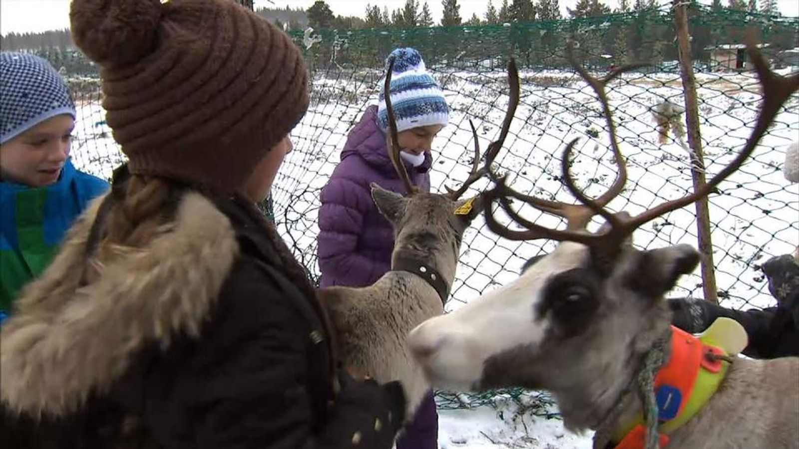 The Saami People Say They're Being Intimidated Over Independence Claims ...