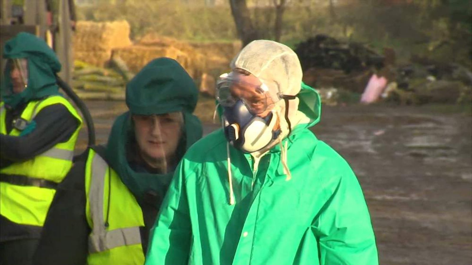Bird Flu Strain Identified As Cull Begins | UK News | Sky News