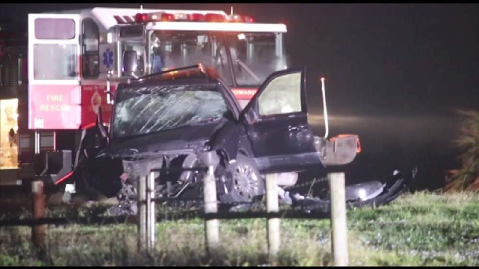 Three Killed Helping Black Bear Crash Driver | US News | Sky News