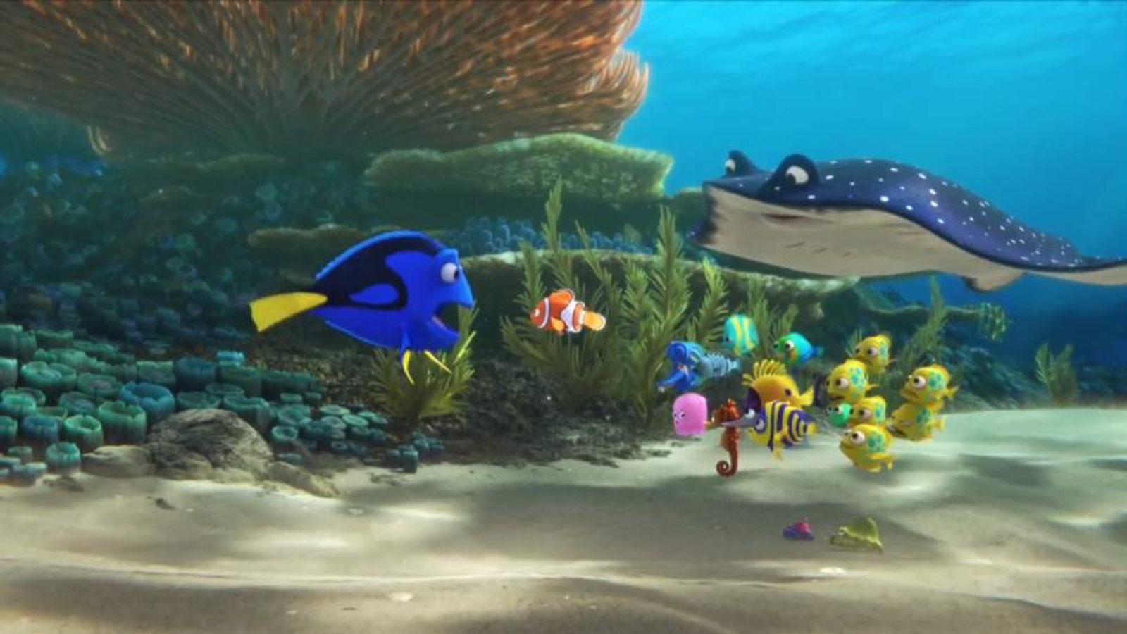 Watch The First Trailer For Finding Dory | Ents & Arts News | Sky News
