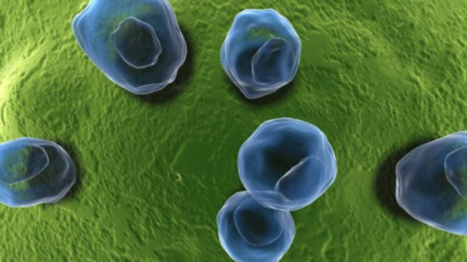 Five Common Sexually Transmitted Infections | UK News | Sky News