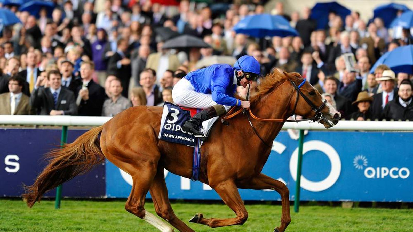 Dawn Approach Lifts Godolphin Gloom | Scoop News | Sky News