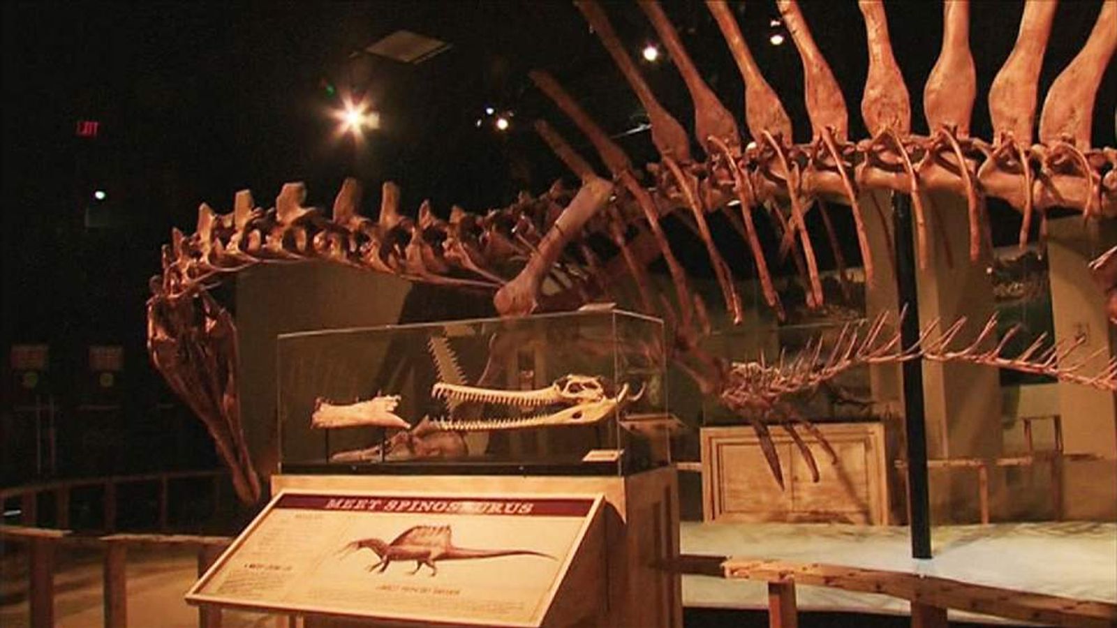 'Alien' T-Rex Cross-Breed Hunted Sharks | World News | Sky News