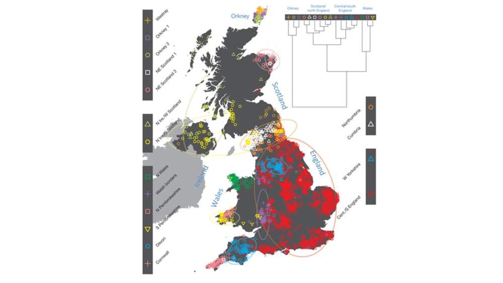 Where Do We Come From? Britain's DNA Map | UK News | Sky News